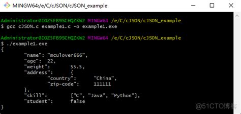 cjson使用详细教程 一个轻量级c语言json解析器 51cto博客 cjson解析json文件