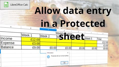 How To Allow Data Entry In A Protected Sheet Youtube