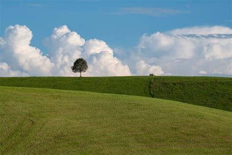 Espacio Html 2025 🥇 Análisis Completo