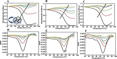 Normalized Uv Melting Curves Of 4 Mm Human Telomere Var 1 G4 With Their