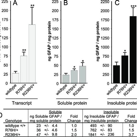Gfap Expression In Mutant Mice A Quantitative Real Time Pcr Analysis