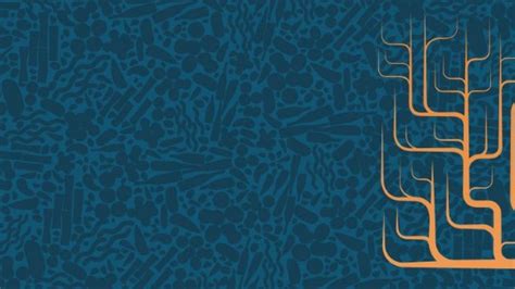 Carl Woese Tree Of Life