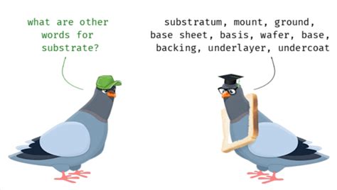 Substrate Definition Biochemsitry Examples