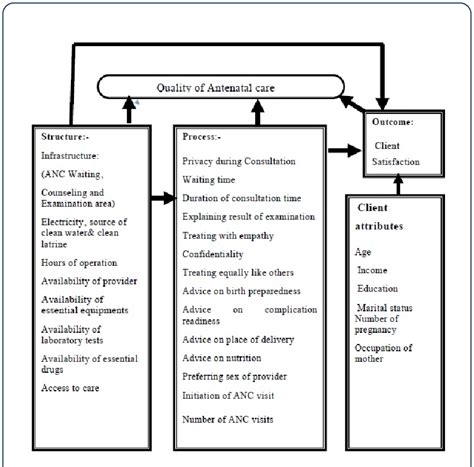A Modified Conceptual Frame Work For Assessing Quality Of Anc In Public Download Scientific