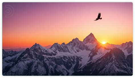 Introduction To Flux Quick Guide