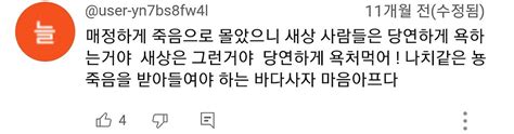 더쿠 해외논란 범고래 피해 배 위에 오른 바다사자 사지로 내쫓은 여성