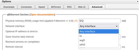 Prefered Network Issue DyonR Docker Qbittorrentvpn GitHub