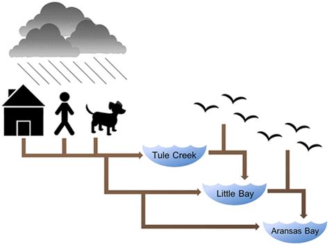 Acs Esandt Water Vol 1 No 6
