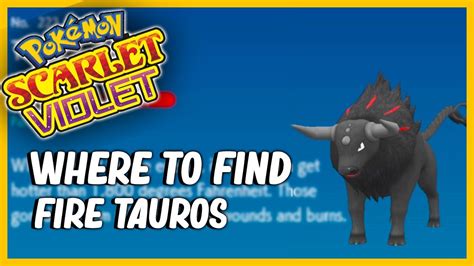 Where To Find Fire Paldean Tauros In Pokémon Scarlet And Violet Youtube