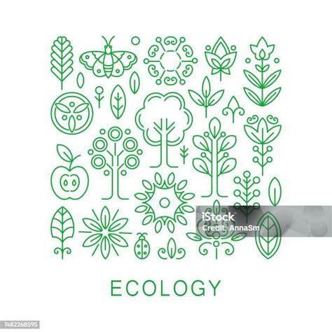 유기적 생태학 및 바이오 추상적 디자인 요소 선 스타일 벡터 그림 집합입니다 라인아트에 대한 스톡 벡터 아트 및 기타 이미지 라인아트 일러스트레이션 자연 Istock