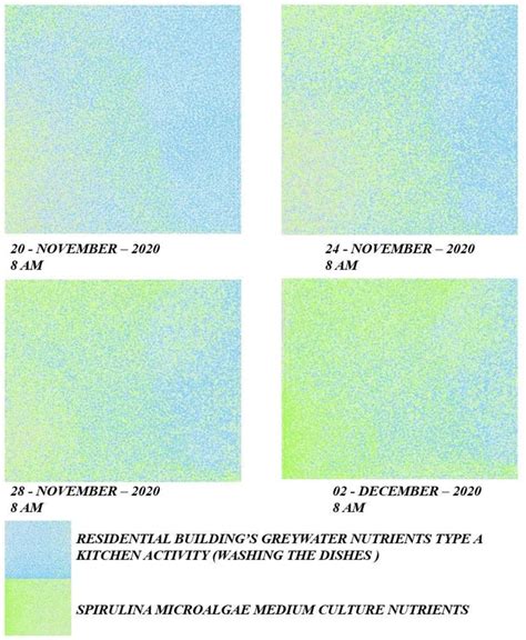 Growth Density Of Microalgae Simulation In The Hybrid Tank Material