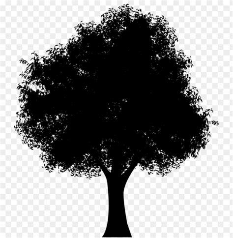 Free Download HD PNG Transparent Tree Png Silhouette PNG Image ID 50060 TOPpng