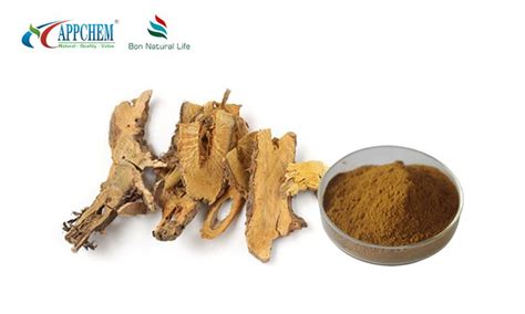 China Resveratrol Polygonum Cuspidatum Extract Powder Manufacturers Factory App Chem