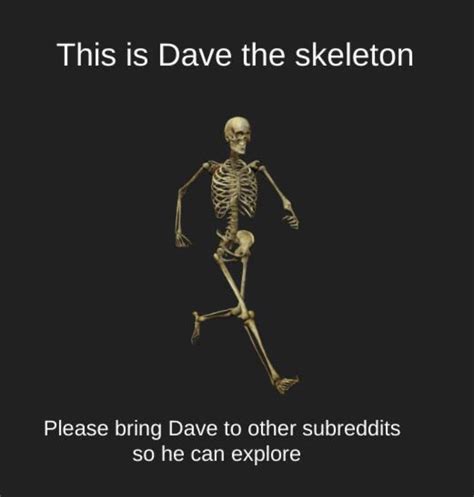 Void Entity In Blank Box R Boneworks