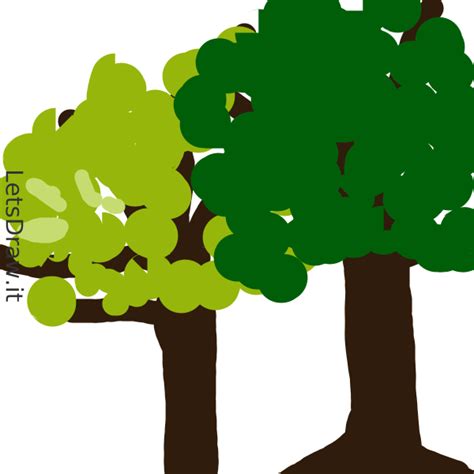 How To Draw Trees Rz Wgoa Png LetsDrawIt