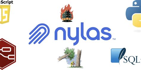 Forestwatch An Iot Based Forest Fire And Deforestation Detection System Dev Community