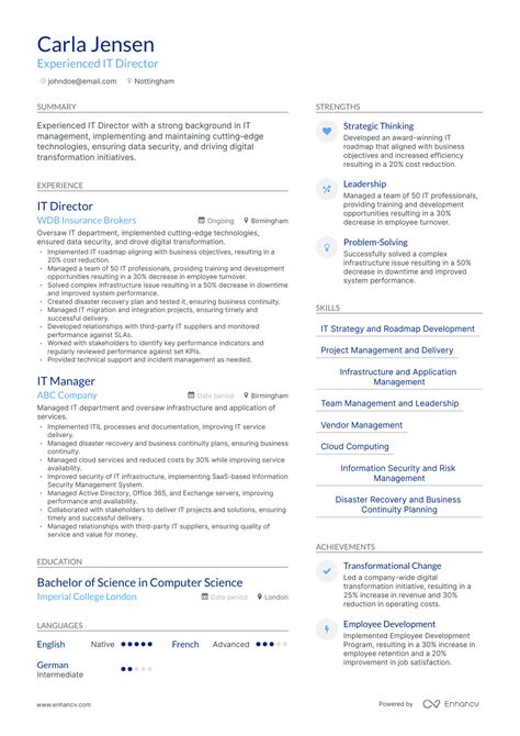 IT Director CV Examples For