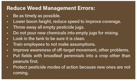 Top 5 Common Weed Problems Peanut Grower