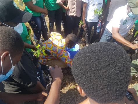 Carbon Offsetting Why National Tree Planting Must Be Compulsory For Carbon Emitting