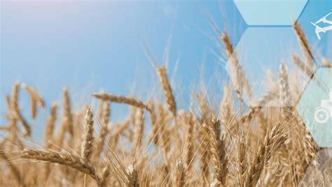 Big Data In Agriculture How To Make It Work N IX