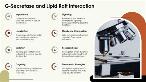 G Secretase And Lipid Raft Interaction Ppt Example St Ai Ss Ppt Powerpoint