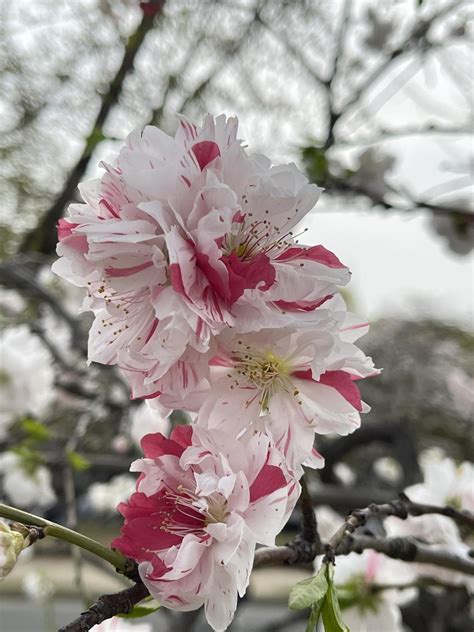 เจ แอนต์ ดับบลิว เลิกคอมเม้นต์วิชาการใน Facebook ของคนอื่น แต่ใน Facebook ของตัวเองชอบให้คอม