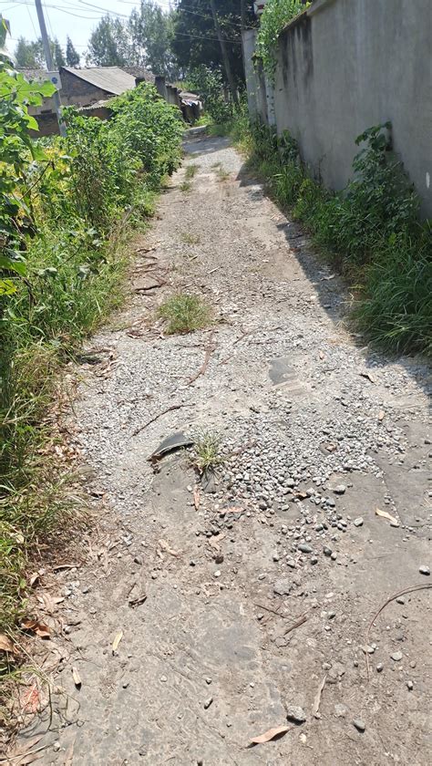 道路无硬化，下雨积水严重无法出行 群众呼声麻辣问政 四川省网上群众工作平台 大邑县书记