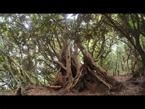 Hiking Relive Mixed Youtube