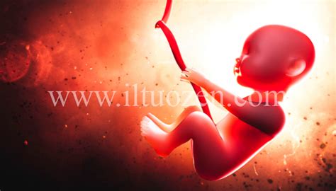 Sapevi Che Tuo Figlio Ti Ha Scelto Per Essere Sua Madre Il Tuo Zen