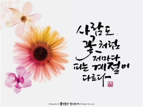 캘리그라피 Calligraphy 캘리 손글씨 물댄동산 멋글씨 봄 인생 봄날 삶 생활 명언 꽃 계절 청춘 시절 배경 Pinterest 작은