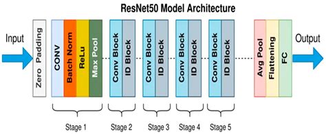 Applied Sciences Free Full Text Skin Lesion Classification Using A