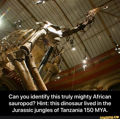 Can You Identify This Truly Mighty African Sauropod Hint This Dinosaur Lived In The Jurassic