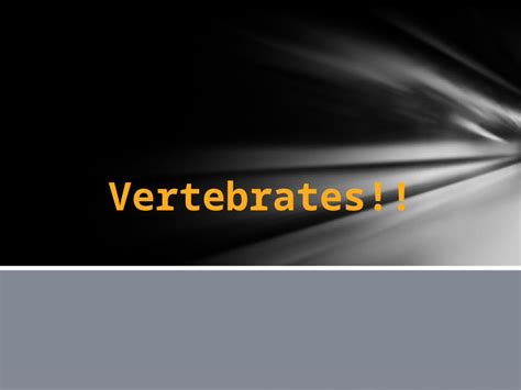 Pptx Kingdom Animalia Phylum Chordata Subphylum Craniata