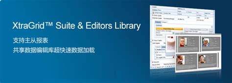 Xtragrid Suite And Editors Library Devexpress