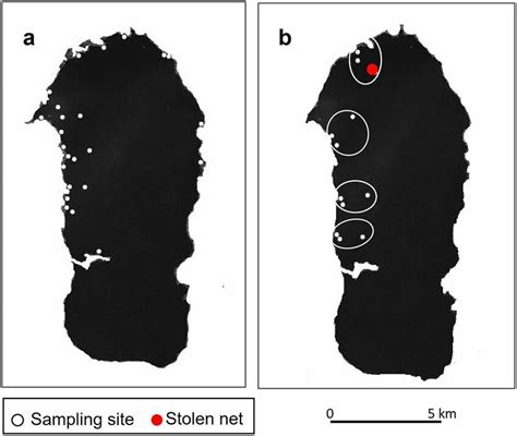 Relative Abundance Sampling Locations A Rinuak B Bada Download Scientific Diagram