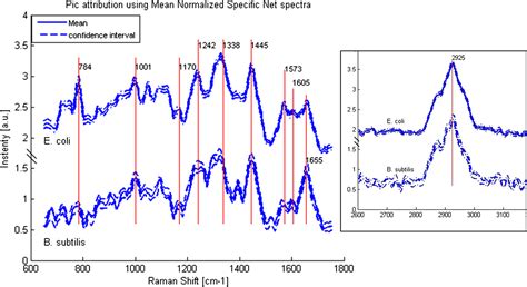 Single Bacteria Identification By Raman Spectroscopy