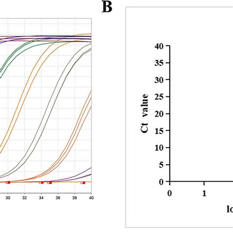 Amplification Results Of Detecting C Butyricum Using Absolute Rt Qpcr Download Scientific