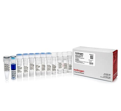 Megascript™ T7 Transcription Kit T7 In Vitro Transcription Kit Buy Online