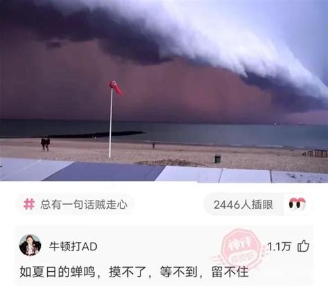 用一句话来形容一下你喜欢的人吧 知乎