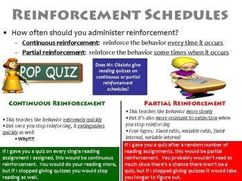 Operant Conditioning Schedules Of Reinforcement PowerPoint By Danis Marandis