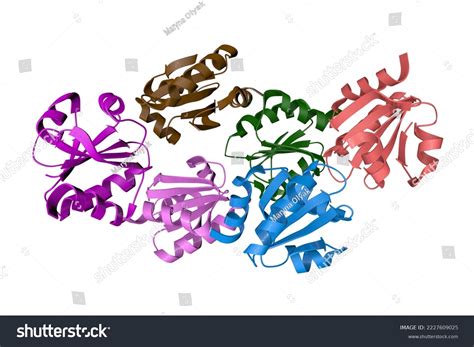851 Protein Crystal Structure 图片、库存照片和矢量图 Shutterstock