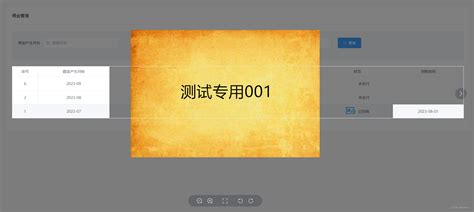 Element Plus表格组件中使用el Image图片预览功能的踩坑el Images加载静态图片无法预览 Csdn博客