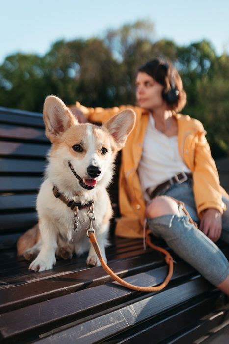 Scroll The Gallery Modera Waugh Apartments In Houston Tx