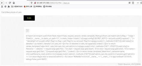 Xctf Web Catcat New Csdn博客