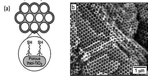 A Scheme Of Macroporous Thiol Titania Material With Propyl Siloxane