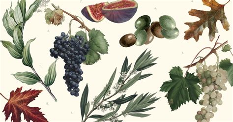 Sapori Dautunno Degustazione Di Vino E Olio In Giardino Evento Fai