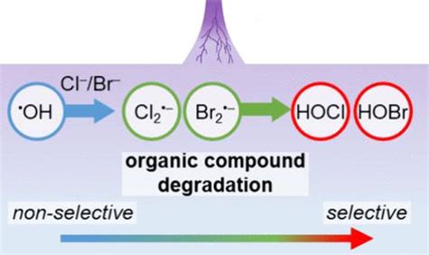 卤化物对盐水等离子处理过程中有机化合物降解的影响 Environmental Science Technology X MOL