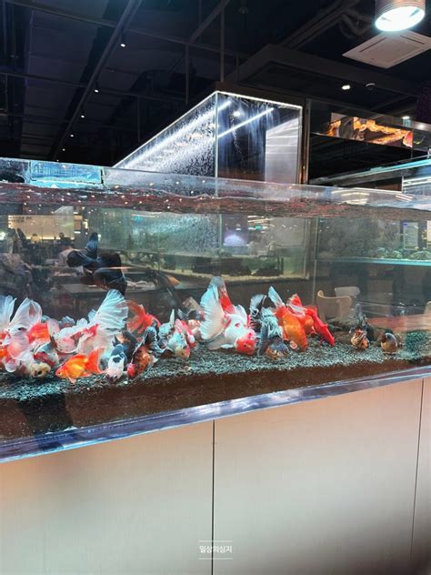 용인 기흥 아쿠아가든카페 기흥점 여름 피서로 딱 네이버 블로그