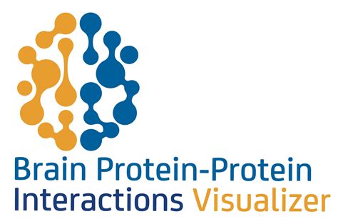 Thomas Bourgeron Brain Protein Protein Interactions Visualizer