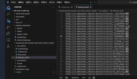 ava视频数据集制作 ava数据集的制作 csdn博客